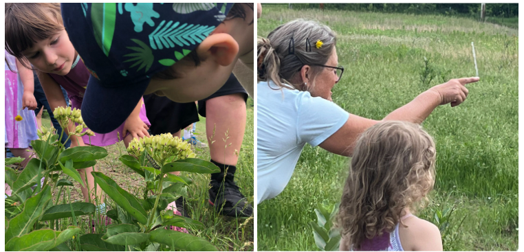 Prairie Explorers – Botanical Belonging